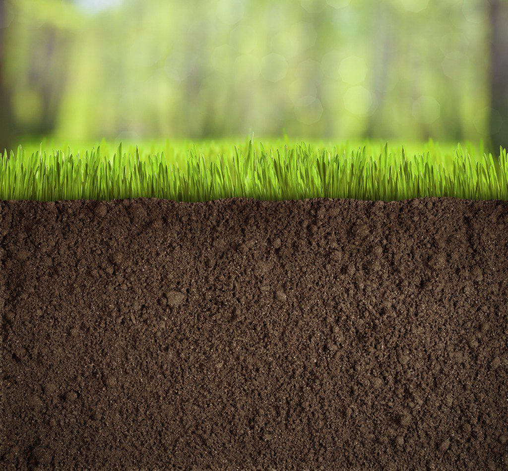 liquid soil termite treatment | Northwest Exterminating