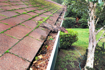 Blog | Atlanta Pest Control