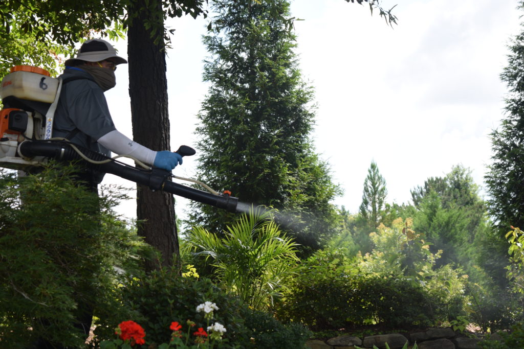 Green Mosquito Control: An Eco-Friendly Alternative | Green Pest Control