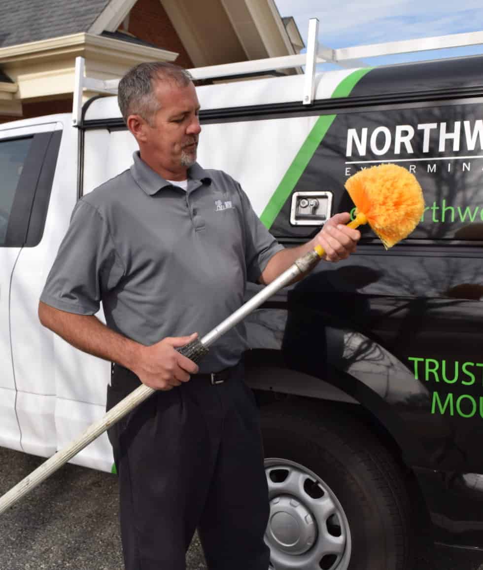 Commercial Pest Control | Pest Control for Businesses