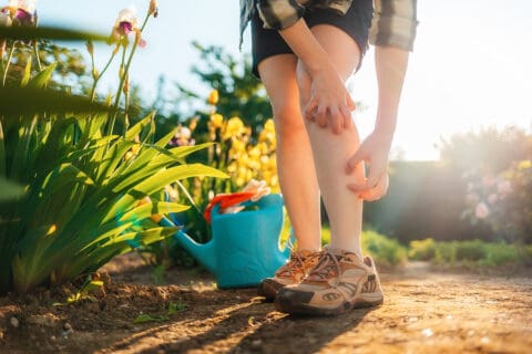 5 Ways to Prepare for Mosquito Season in Alabama | Mosquitoes