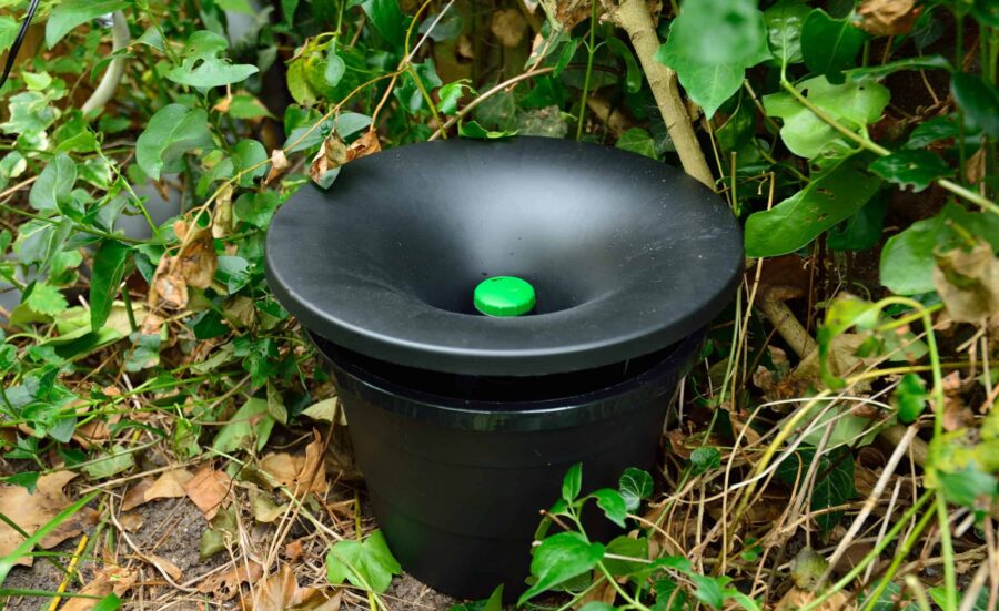A Green Way to Stop Mosquitoes in South Florida | Mosquito Control