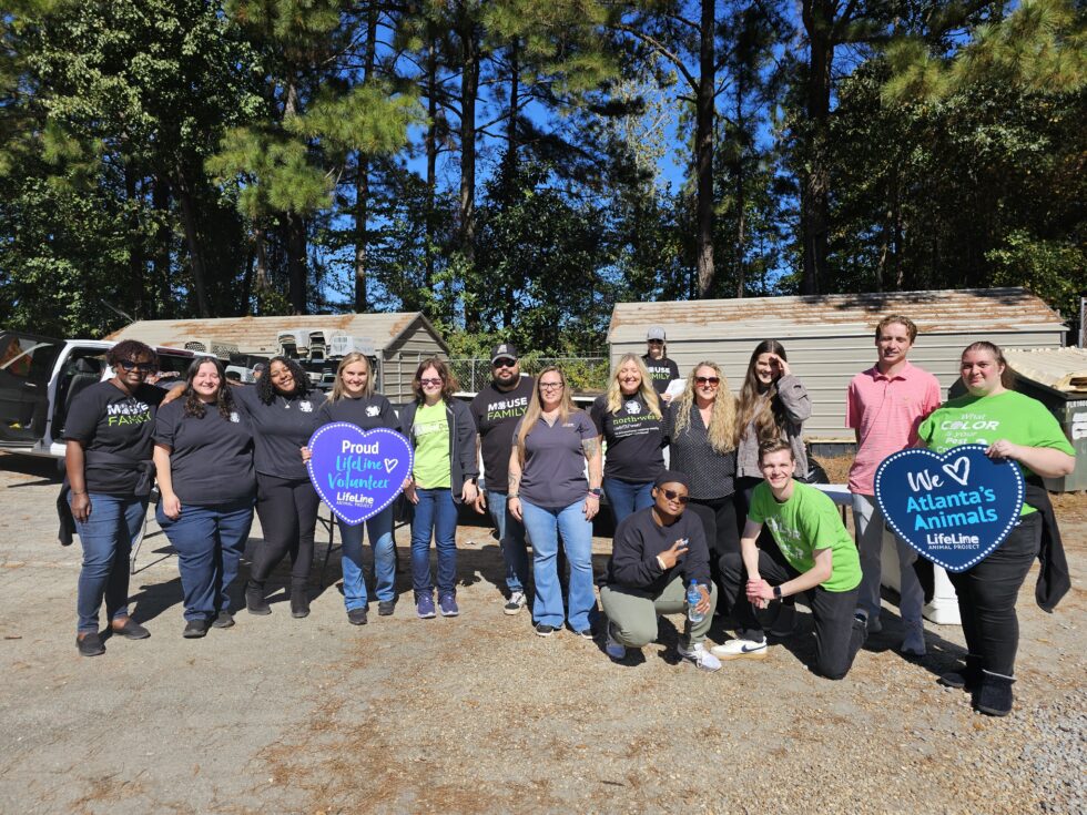 Good Deed Team Supports Local Pet Adoption by Partnering with Lifeline ...